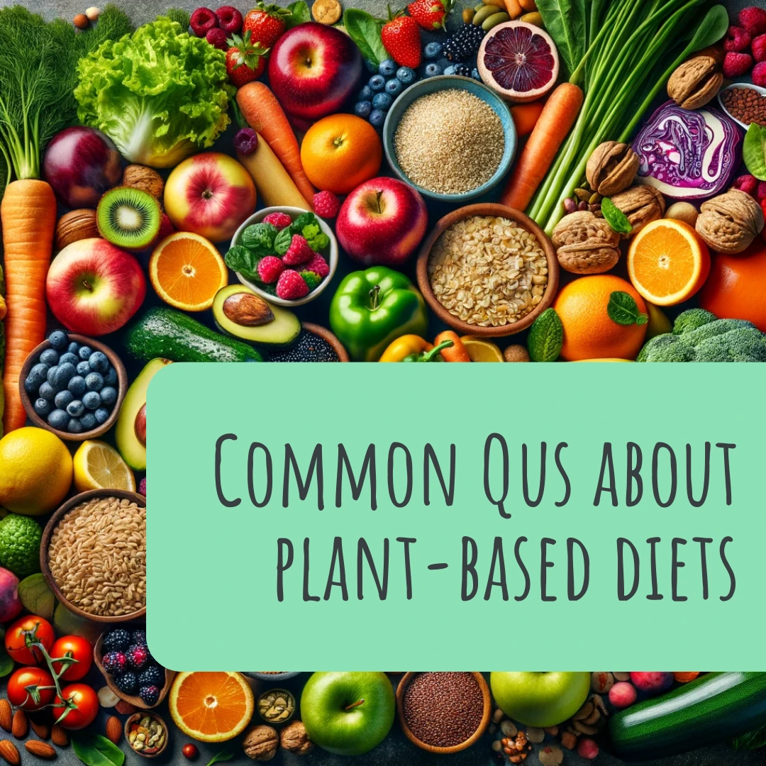 Frequently Asked Questions About Plant-Based Diets - Planet Plantastic